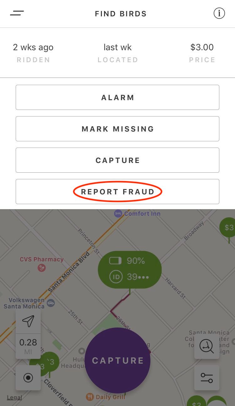 Vehicle on Flyer Map Missing – Bird